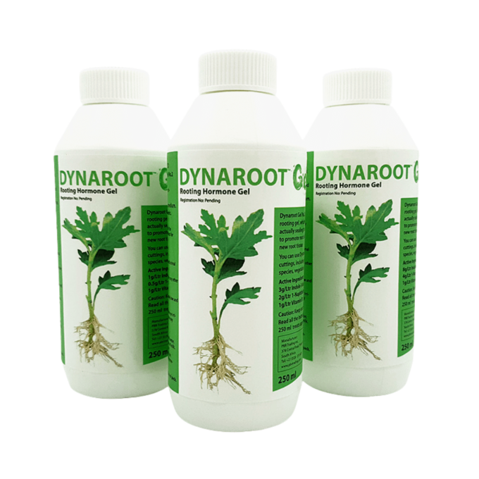 DynaRoot Rooting Gel No2 – GROW FOLK