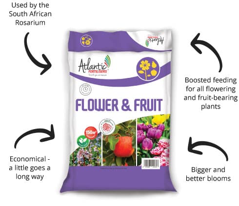 Bio Flower & Fruit – GROW FOLK