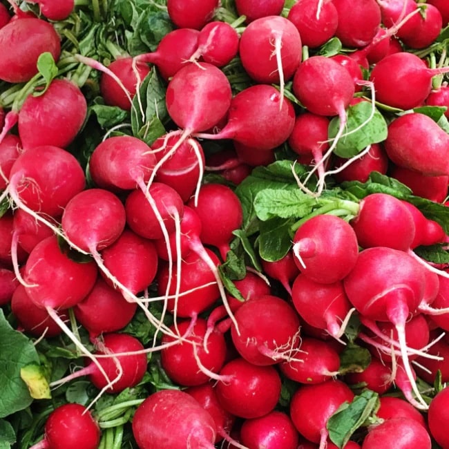 Radish - Cherry Belle - Organic Seeds – GROW FOLK
