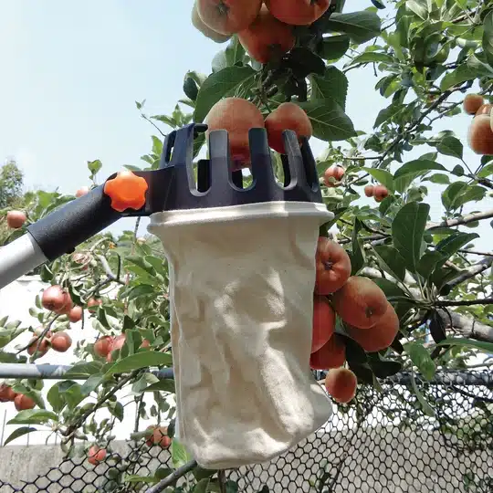 Fruit Picker Aluminium Extendable to 1.8m – GROW FOLK