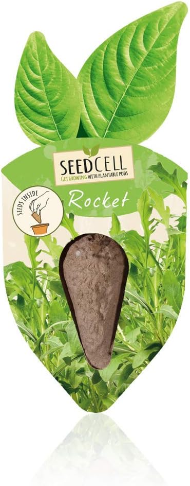 SeedCell Single - Courgette – GROW FOLK
