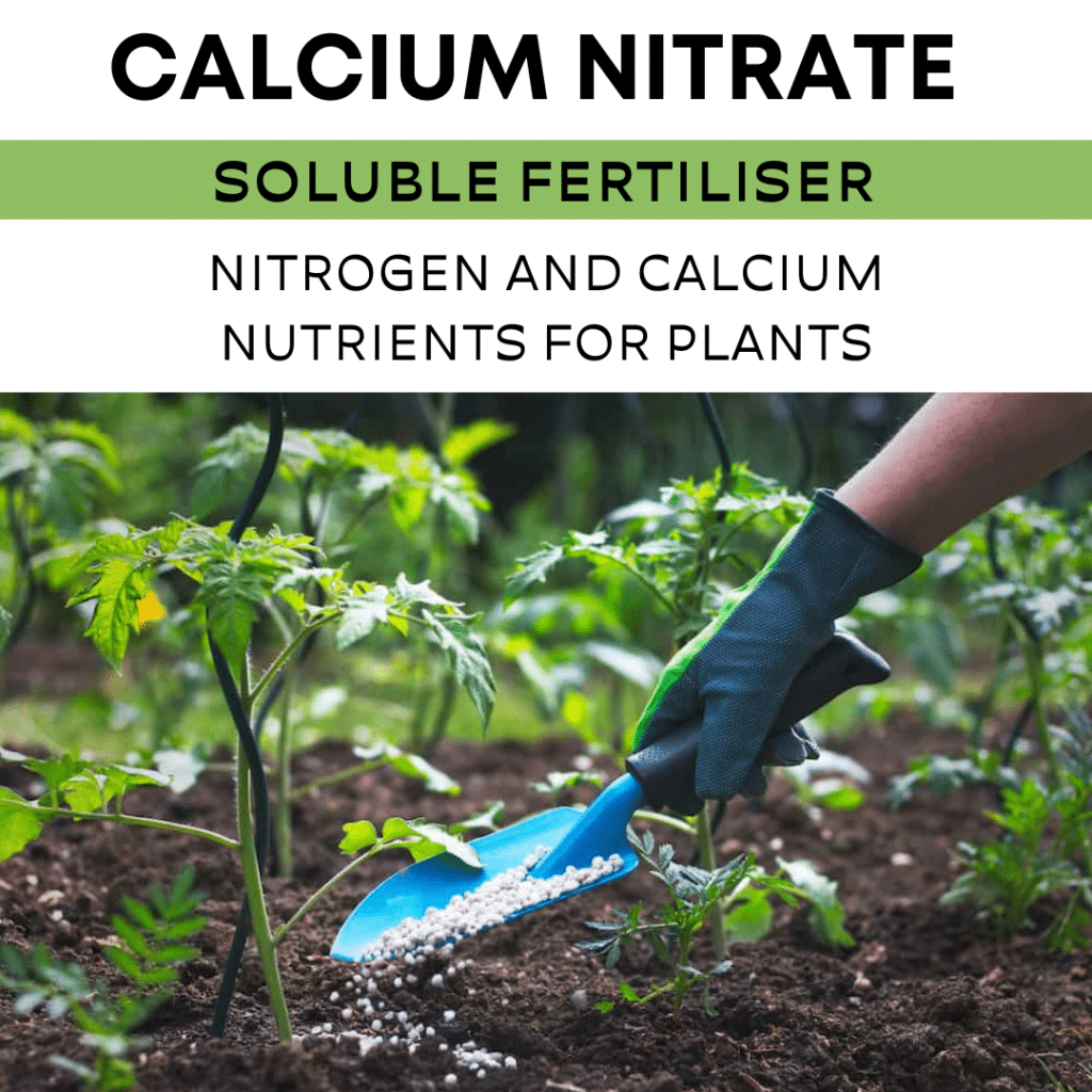 Calcium Nitrate Soluble Fertiliser – GROW FOLK
