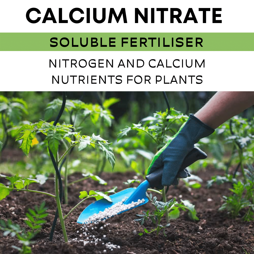 Calcium Nitrate Soluble Fertiliser – GROW FOLK