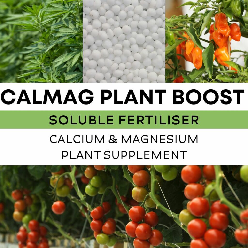 CalMag Plant Boost - Calcium Magnesium Supplement – GROW FOLK
