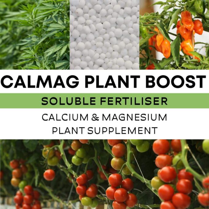 CalMag Plant Boost - Calcium Magnesium Supplement – GROW FOLK