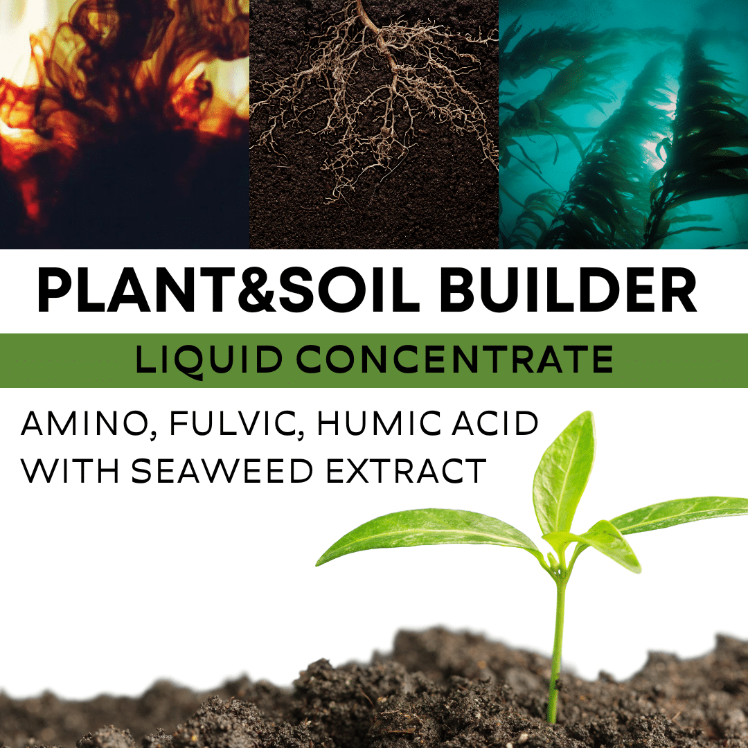 Plant&Soil Builder: Amino, Fulvic, Humic, Seaweed Extract Liquid – GROW ...