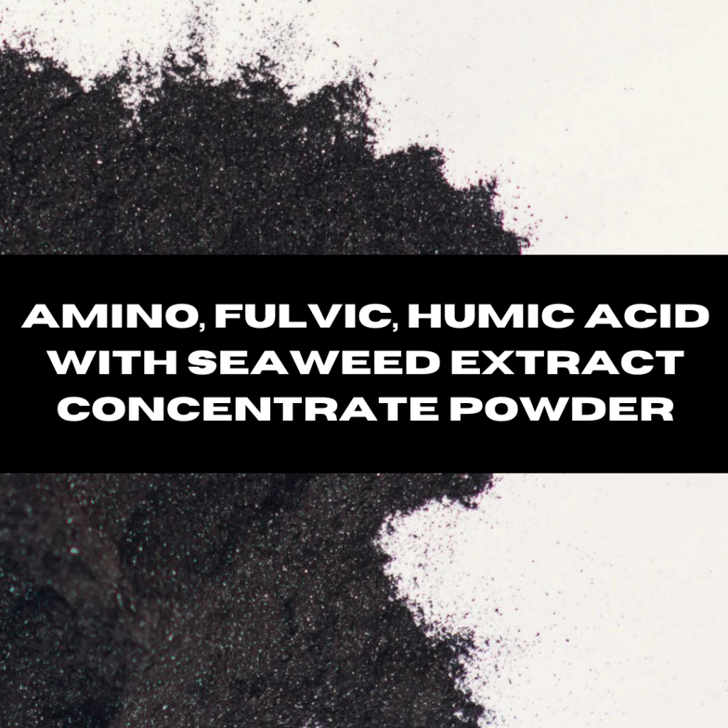 Amino, Fulvic, Humic, Seaweed Extract Powder – GROW FOLK