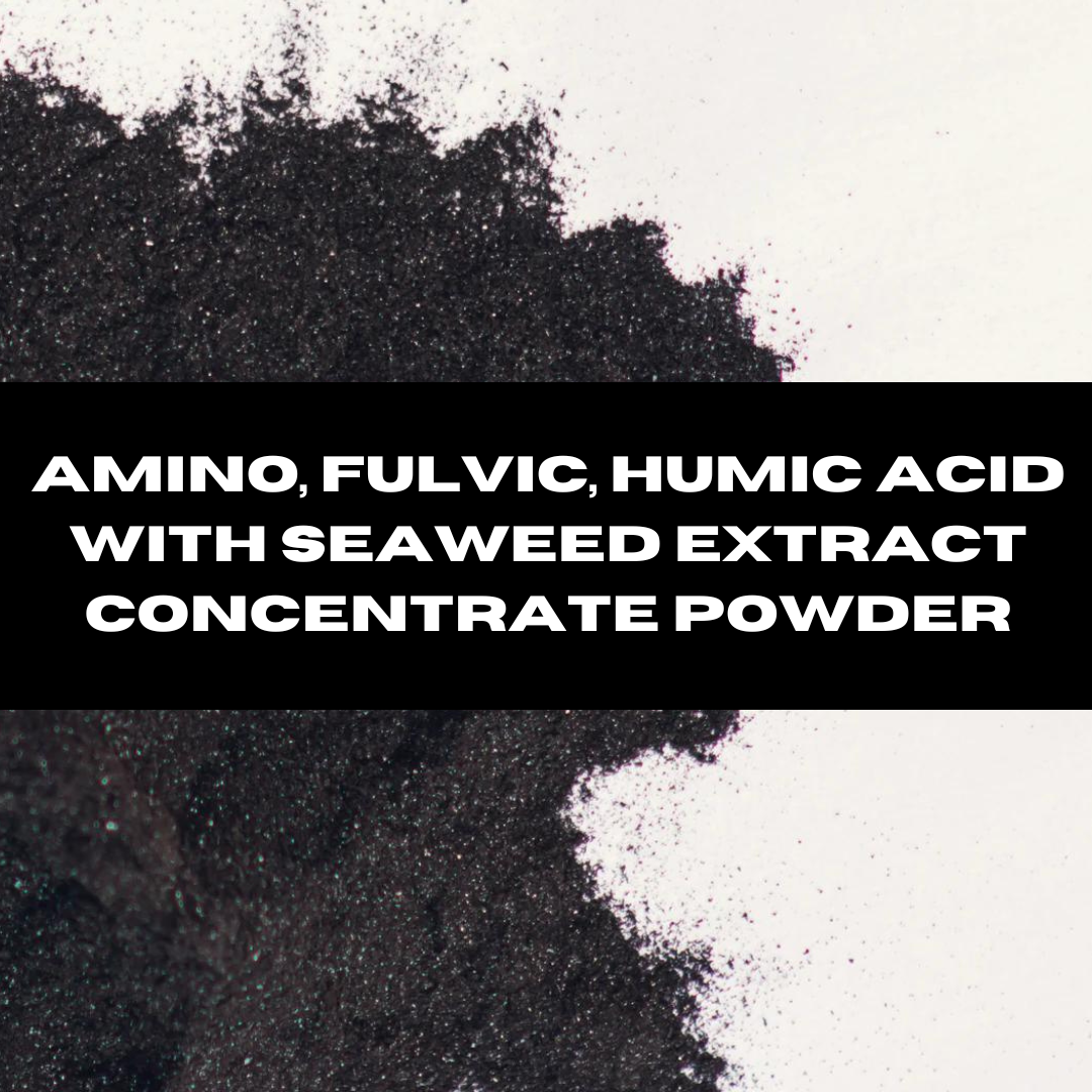 Amino, Fulvic, Humic, Seaweed Extract Powder – GROW FOLK