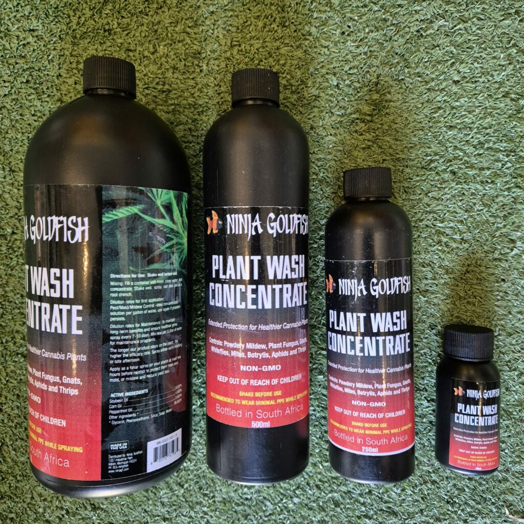 Ninja Goldfish Plant Wash - Defense & Health – GROW FOLK