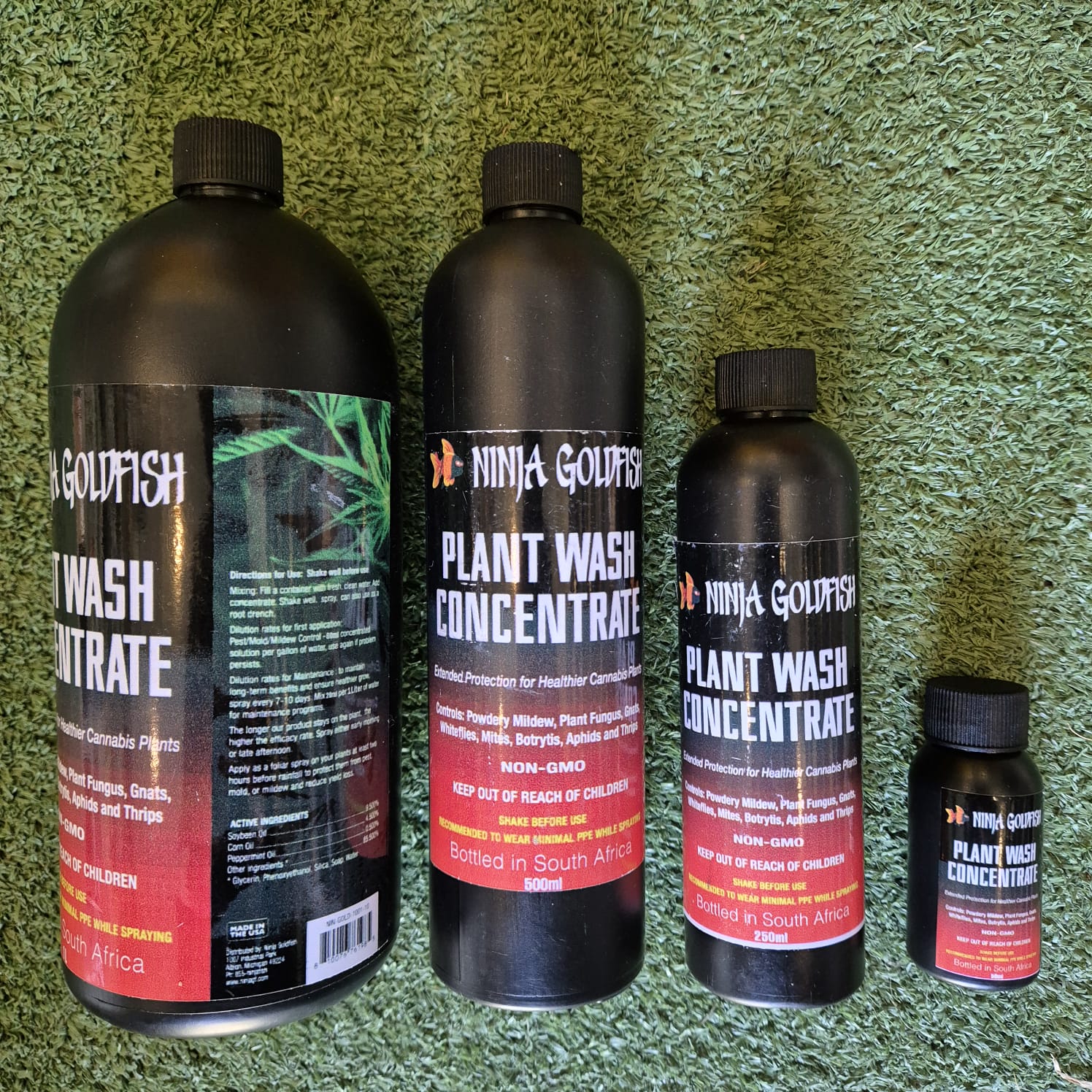 Ninja Goldfish Plant Wash - Defense & Health – GROW FOLK