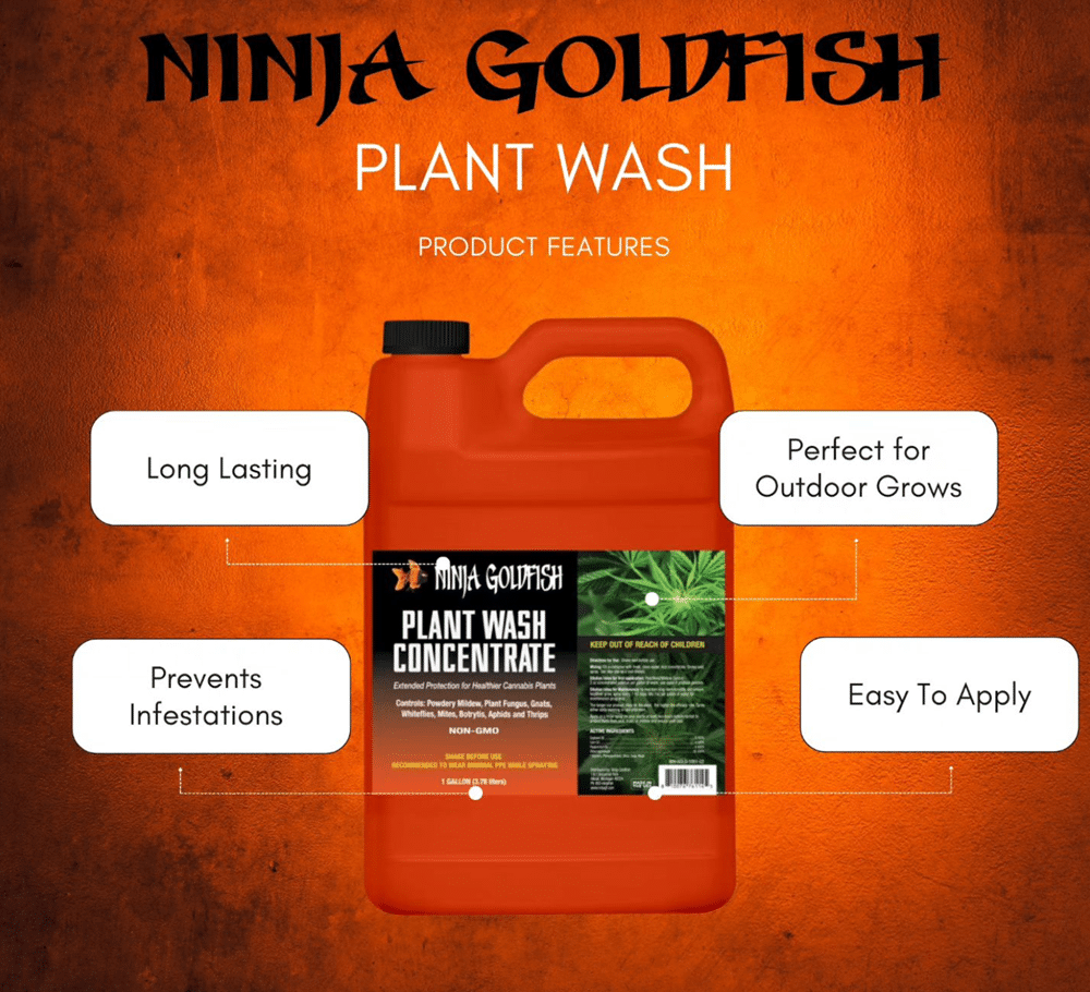 Ninja Goldfish Plant Wash - Defense & Health – GROW FOLK