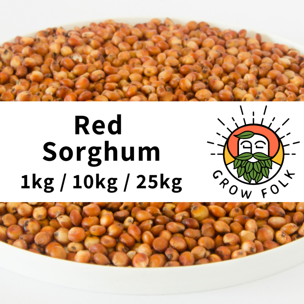Red Sorghum (Milo) Grain – GROW FOLK