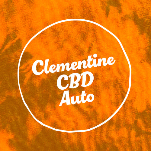 Clementine CBD Auto Seed 3+1 – GROW FOLK
